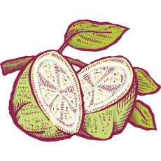 Dried Pearl Guava for sale. Buy online at Zingerman's Mail Order ...